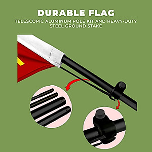 For Rent Feather Flag(11.5feetX2.5feet) by DreamController | Outdoor Business Advertising Tall Flag | Weather-Resistant Knitted Swooper Flag | Made in USA | HD Print (Flag Only)