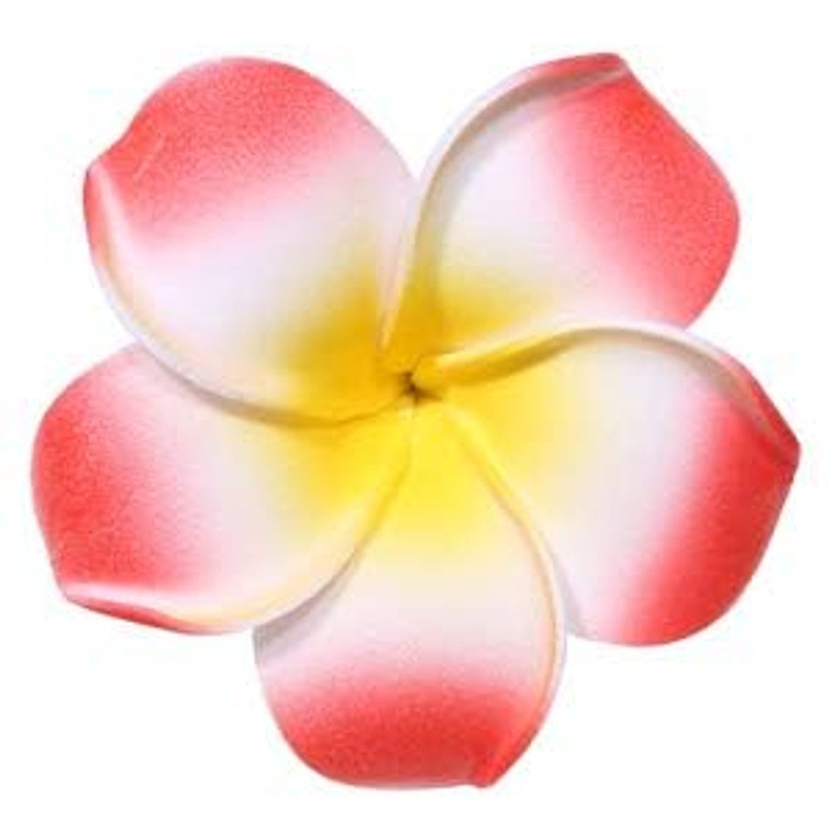 Calcifer® 30pcs 1.97''Hawaii Hawaiian Plumeria Flower Clips Bridal Wedding Party Beach Hair Clips