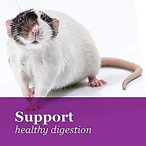 Tropical Carnival F.M. Brown's Gourmet Pet Mouse and Rat Food with Fruits - Veggies, Seeds, and Grains, Vitamin-Nutrient Fortified Daily Diet - 2lb