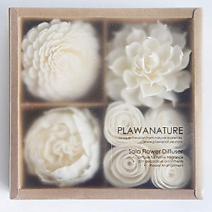 Mixed White Sola Flower with Cotton Wick Diffuser Set Replacement for Home Fragrance by Plawanature