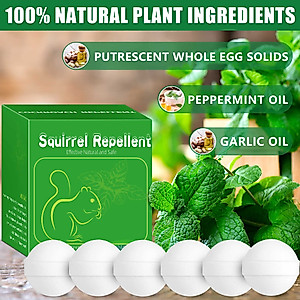 24 Pack Squirrel Repellent, Squirrel Repellent Outdoor for Attic Garden Cars, Squirrel Deterrent, Keep Squirrels Out Bird Feeder, Chipmunk Repellent, Squirrel Stopper