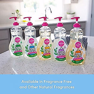 Dapple Baby Bottle Soap, Hypoallergenic Dish Soap for Baby Bottles, Powered by Plants, 1 Pump Included, Packaging May Vary, Fragrance Free, 16.9 Fl Oz (Pack of 3)