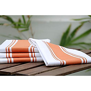 AMOUR INFINI Cotton Kitchen Towels - Set of 4 Highly Absorbent, Ultra Soft Tea Towel with Hanging Loop, 20x28 Inch Quick Drying Dish Cloths for Cleaning Dishes (Orange)