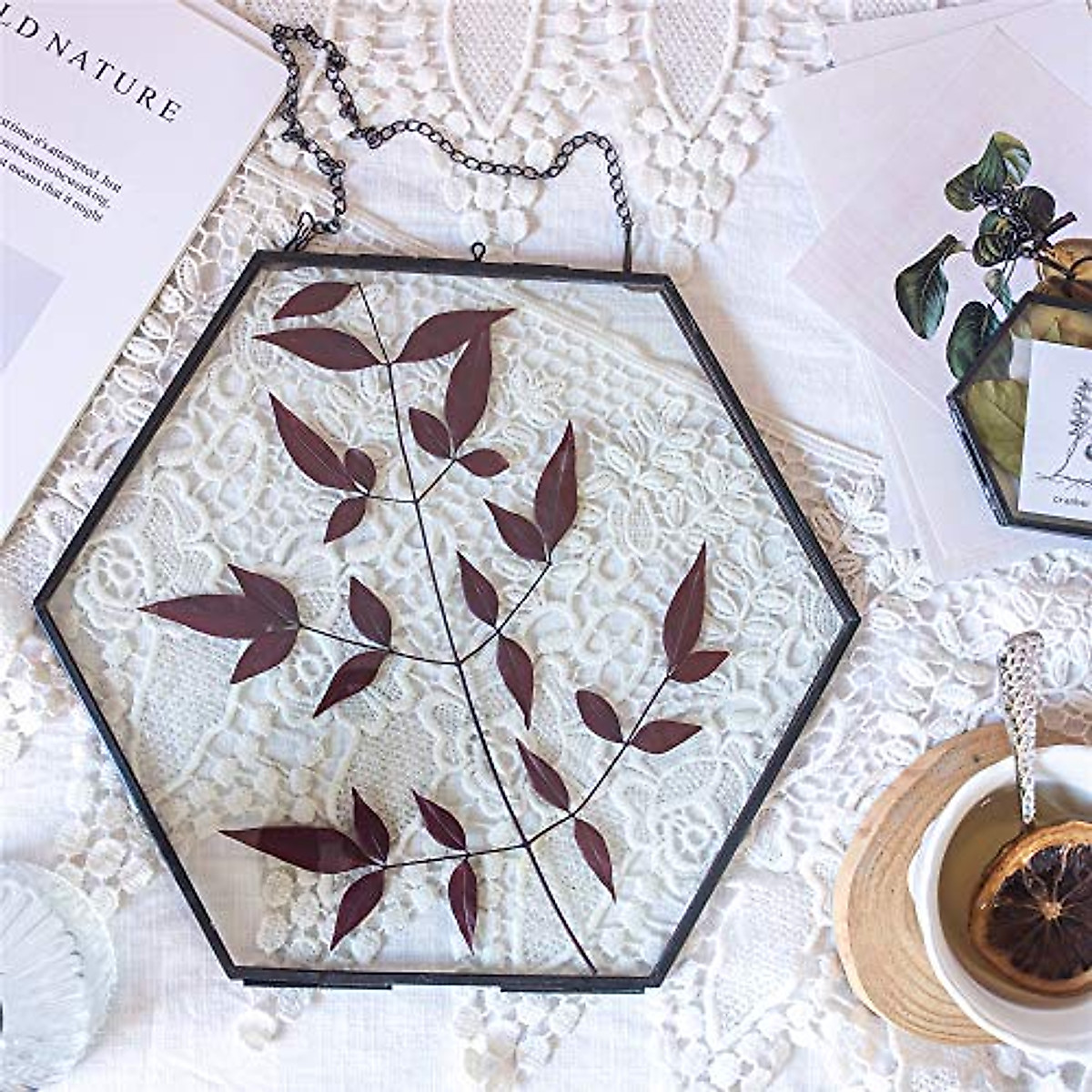 NCYP Medium Hanging Black Hexagon Herbarium Brass Glass Frame for Pressed Flowers, Dried Flowers, Poster, Double Glass, Side Length 5.8 inches Floating Frame, Glass Frame Only