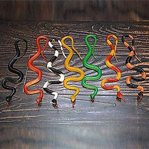 WDFS Small Rubber Snakes, Fake Snakes Realistic Rain Forest Snakes Toys for Boys Gag Toys, Prop, Game Prizes and Party Decorations