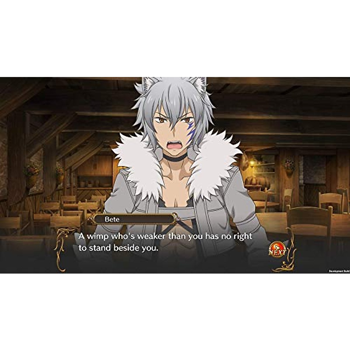 Is It Wrong To Try To Pick Up Girls in A Dungeon? Infinite Combate (Nintendo Switch)
