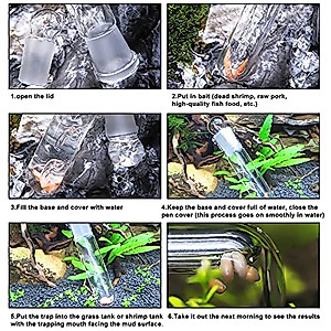 WEAVERBIRD Planaria Trap Catch Trap Leeches Catcher, Clear Glass Leech Trap Tube Catcher 2, 8 Holes for Cherry Shrimp Crystal Red Shrimp Dwarf Shrimp for Aquarium Fish Tank