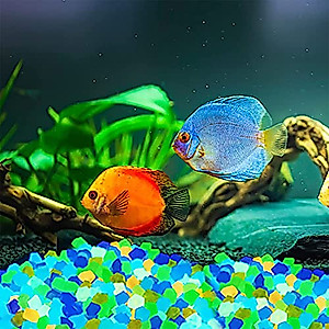 BallHull 1.4cm Decoration Fish Tank Gravel, Rocks Glowing in The Dark for Fish Turtle Tanks, Gardens, Flower Pots, 300 Pcs.