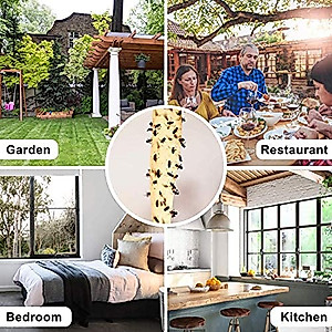 Dwcom 20 Pack Sticky Fly Traps Hanging, Fly Paper Strips Fly Ribbon Catcher Gnat Mosquito for House, Kitchen, Bullpen, Stable, Pasture