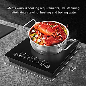 VIVOHOME 120V 1800W Electric Portable Induction Cooktop with 8 Preset Buttons, Sensor Touch Countertop Burner with 180-Min Countdown Timer and 0-24H Timing Start, 140-460℉ Temperature Adjustable