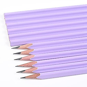 PABLUE HB Graphite Pencils, Triangular Concave Grip Pencils, Fat, Thick, Strong, with Eraser, Sharpener, Suitable for School, Student, Art, Beginner,Drawing,Sketching,Shading(Purple,Pack of 12)