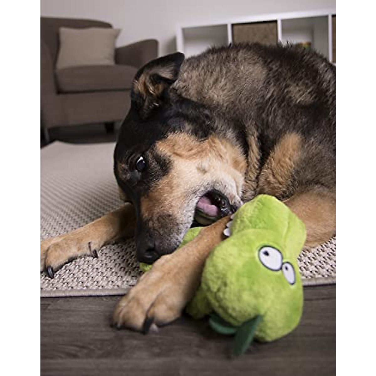 Hear Doggy Flatties with Chew Guard Technology Dog Toy, Gator, Large, Green, Model:58546