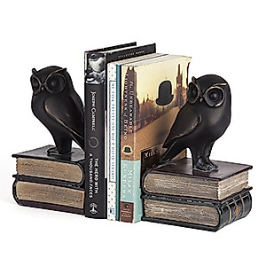Danya B. Owl Bookends Decorative Rustic Bookshelf Decor - Owls Bookend Set for Heavy Books - Bronze Finish