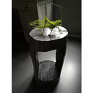 Coffee Table Made From Wood Available In Different Height and Color, Book Stand, Trunk Table