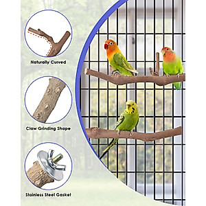 Bissap Bird Perch Stand 7PCS, Natural Grape Wood Pole Standing Parrot Cage Branch Paw Grinding Fork Parakeet Platform Hammock for Conures Budgies Finches Cockatiels Small Birds Exercise Training