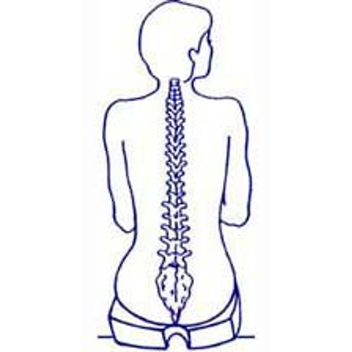 TUSH CUSH Home Office Orthopedic Large Computer Ergonomic Seat Cushion Original - Charcoal Velour Fabric