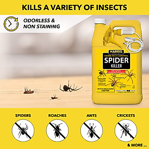 Harris Spider Killer, Liquid Spray with Odorless and Non-Staining Formula (128oz)