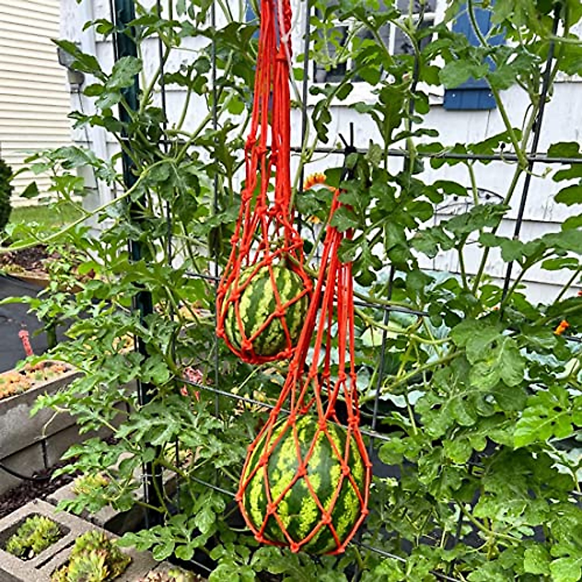 LSHCX Melon Hammocks Cradles, 5 Pack of Nets for Melons, Perfect for Growing Cantaloupe, Watermelon in Vertical Garden (Orange)