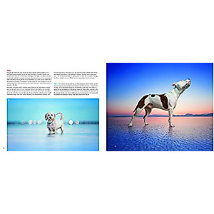 Dogtography: A Knock-Your-Socks-Off Guide to Capturing the Best Dog Photos on Earth