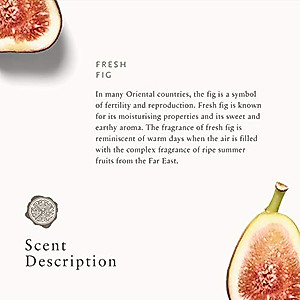 RITUALS Wild Fig Luxury Oil Reed Diffuser Set - Fragrance Sticks with Italian Fig, Chinese Orris, Clove & Sandalwood - 15.2 Fl Oz