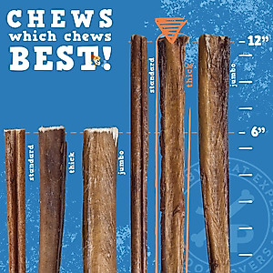 Jack&Pup Bundle - Bully Sticks + Pro-Digest Supplements | 12-Inch Odor Free [Standard Size] Bully Sticks (5 Pack) | Pro-Digest Probiotics for Dogs (60 Chews)…