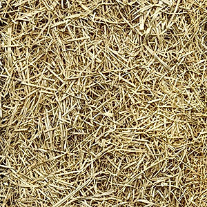 EZ Straw Seeding Mulch with Tack - Biodegradable Natural Processed Straw – 2.5 CU FT Bale (Covers up to 500 sq. ft.), Multi
