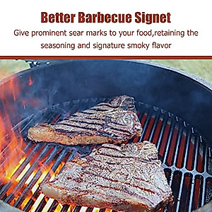 OLIGAI Cast Iron Cooking Grate,Cooking Grids Grates for Small and Minimax Big Green Egg,Round Grill Grate Replacement for Big Green Egg,13 Inch Cast Iron Grates