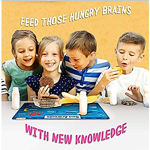 merka Kids Placemats for Dining Table Placemats for Kids Toddler Placemats for Dining Table Set of 4 Wipeable Non-Slip Silicone Mats