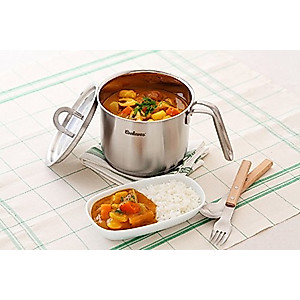 Cookever COOK304 Premium Cookware Non Stick Stainless Steel Multi Pot 5.5 Inch