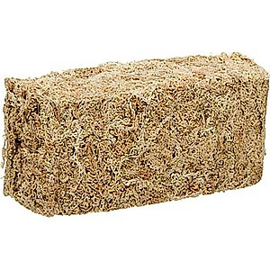 Zoo Med Laboratories SZMCF25 New Zealand Sphagnum Moss, .33-Pound,Black