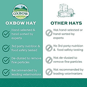 Oxbow Animal Health Orchard Grass Hay - All Natural Grass Hay for Chinchillas, Rabbits, Guinea Pigs, Hamsters, Gerbils & Other Small Pets - Fiber Rich- Grown in the USA- 9 lb.