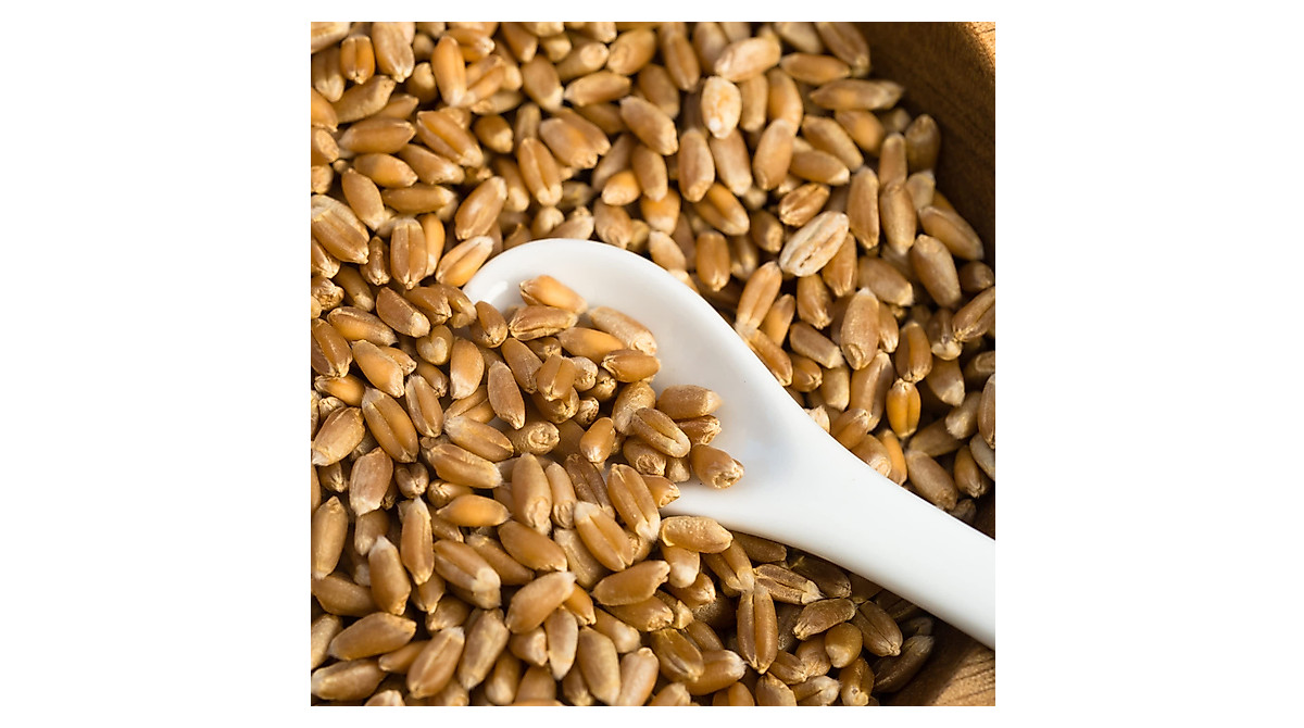 Emergency Food Supply Kit - Long Shelf Life | Chef's Banquet