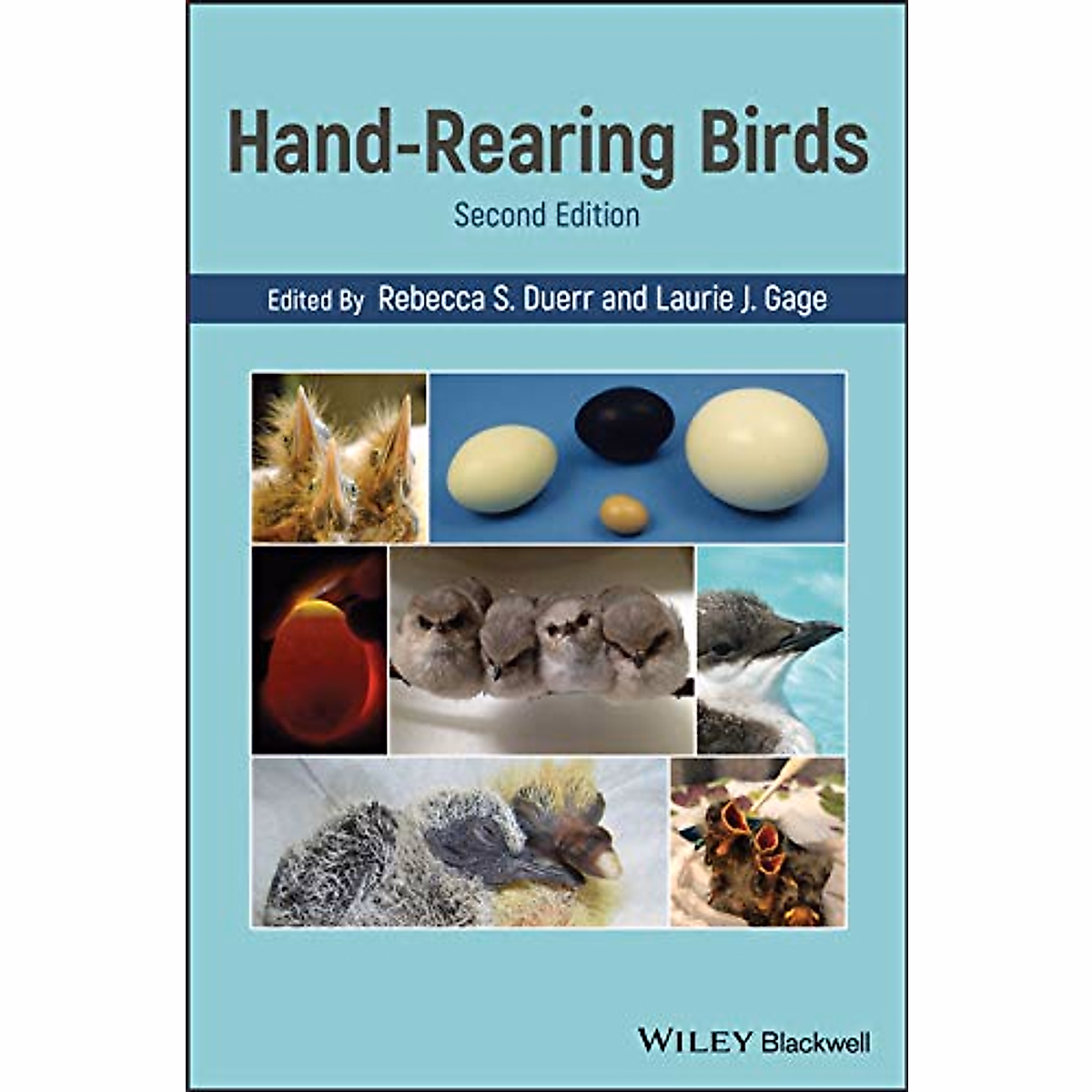 Hand-Rearing Birds