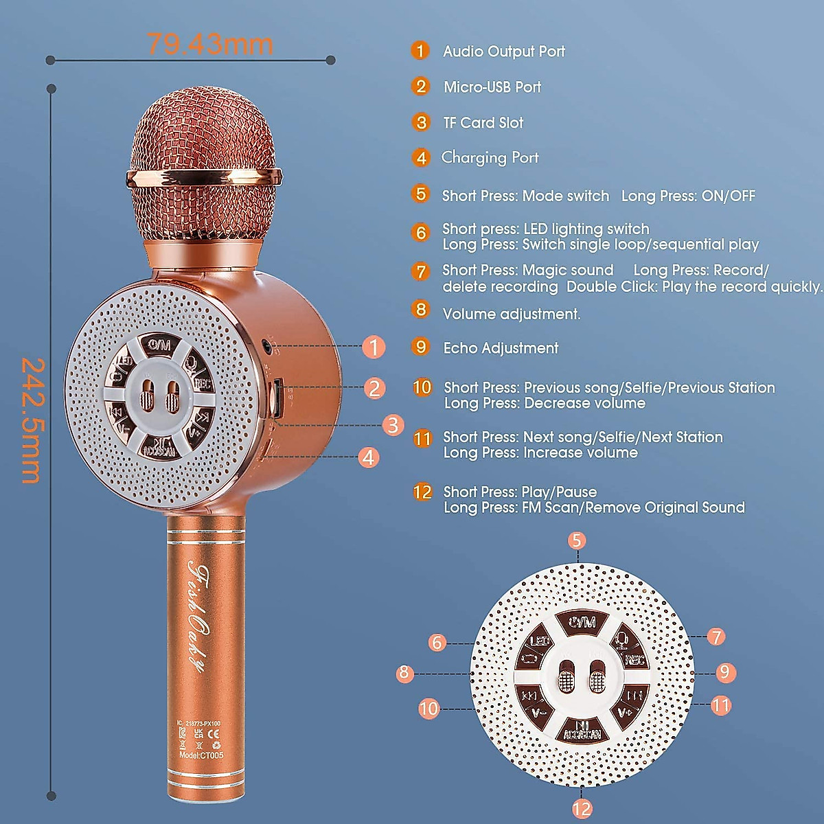 FISHOAKY Karaoke Microphone, Kids Karaoke Machine Portable Mic Player Speaker with LED for Christmas Birthday Home Party KTV Outdoor
