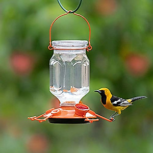 Perky-Pet 9113-2 Top-Fill Glass Oriole Feeder – 22 Oz, Orange