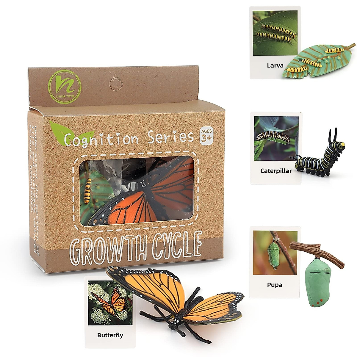 Montessori Life Cycle Animal Figures with Flash Cards, Plastic Insects Monarch Butterfly Kit Caterpillar Toy for Kids, Realistic Animal Figurines (Butterfly)
