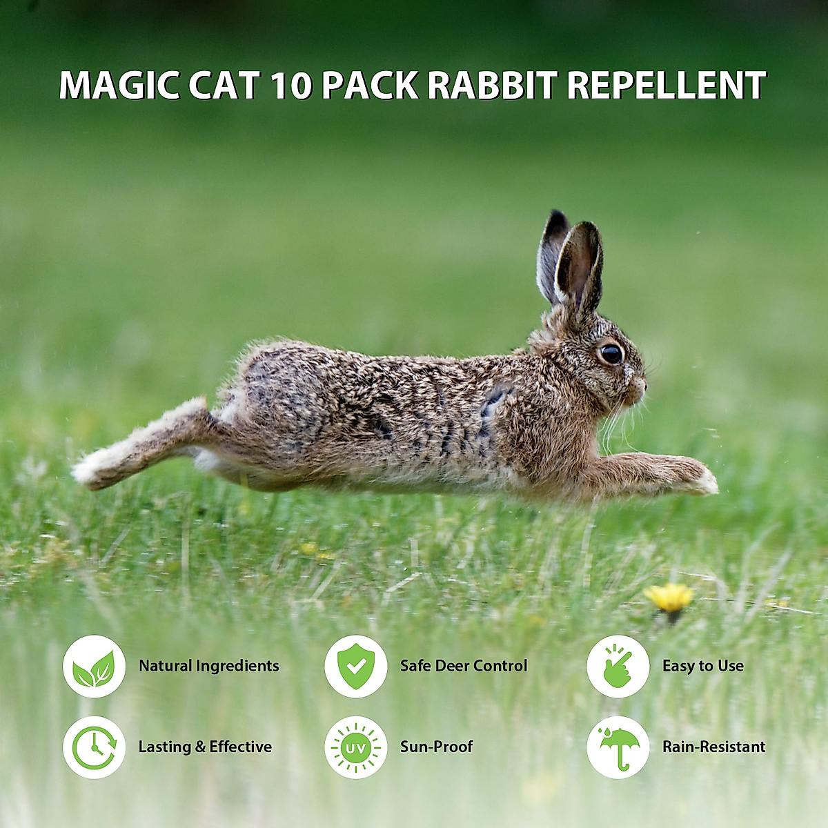 MAGIC CAT Rabbit Repellent Outdoor, 10 Pack Natural Peppermint Oil Deer and Rabbit Away Repellent for Plants Pet Family Safe, Rabbit Deterrent Deer Stopper to Keep Deer Bunny Out of Yard Garden Lawn