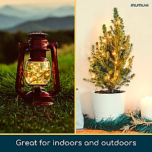 MUMUXI LED Fairy String Lights Battery Operated [20 Pack], 3.3ft 20 Mini Fairy Lights Powered Party Wedding Centerpiece Decorations Crafts Mason Jar Firefly Lights, Warm White