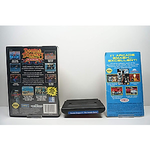 Double Dragon 3: The Arcade Game