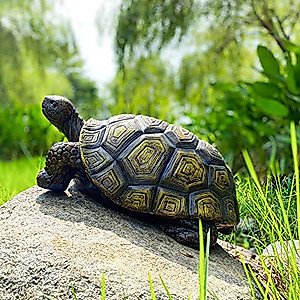 Garden Turtle Statue Outdoor 21.2 Inch Large Tortoise Statue Imitated Stone Turtle Sculpture Decor for Patio Yard Lawn Backyard Decorations