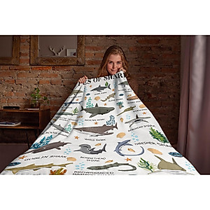 Shark Blanket Shark Gifts for Kids Boys Girls Shark Lovers Types of Sharks Plush Cozy Flannel Cute Animal Educational Throw Sheet 50" X 40" Decor for Couch Daycare Nap Birthday Decorations Bedroom