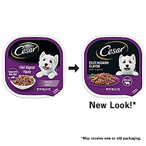 CESAR Adult Soft Wet Dog Food Filets in Gravy Filet Mignon Flavor, (24) 3.5 oz. Trays