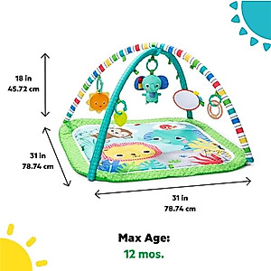 Bright Starts Wild Wiggles Baby Activity Gym & Play Mat with FoldingToy bar, Newborn and up - Green, 18.5” x 29.1” x 29.1”