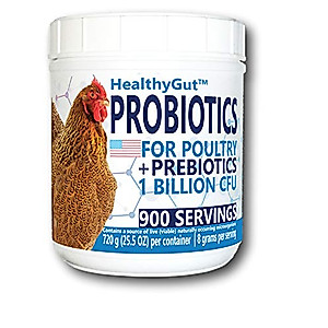 HealthyGut Probiotics for Chickens & Poultry, All-Natural Digestive System Dietary Supplement (90 Scoops)