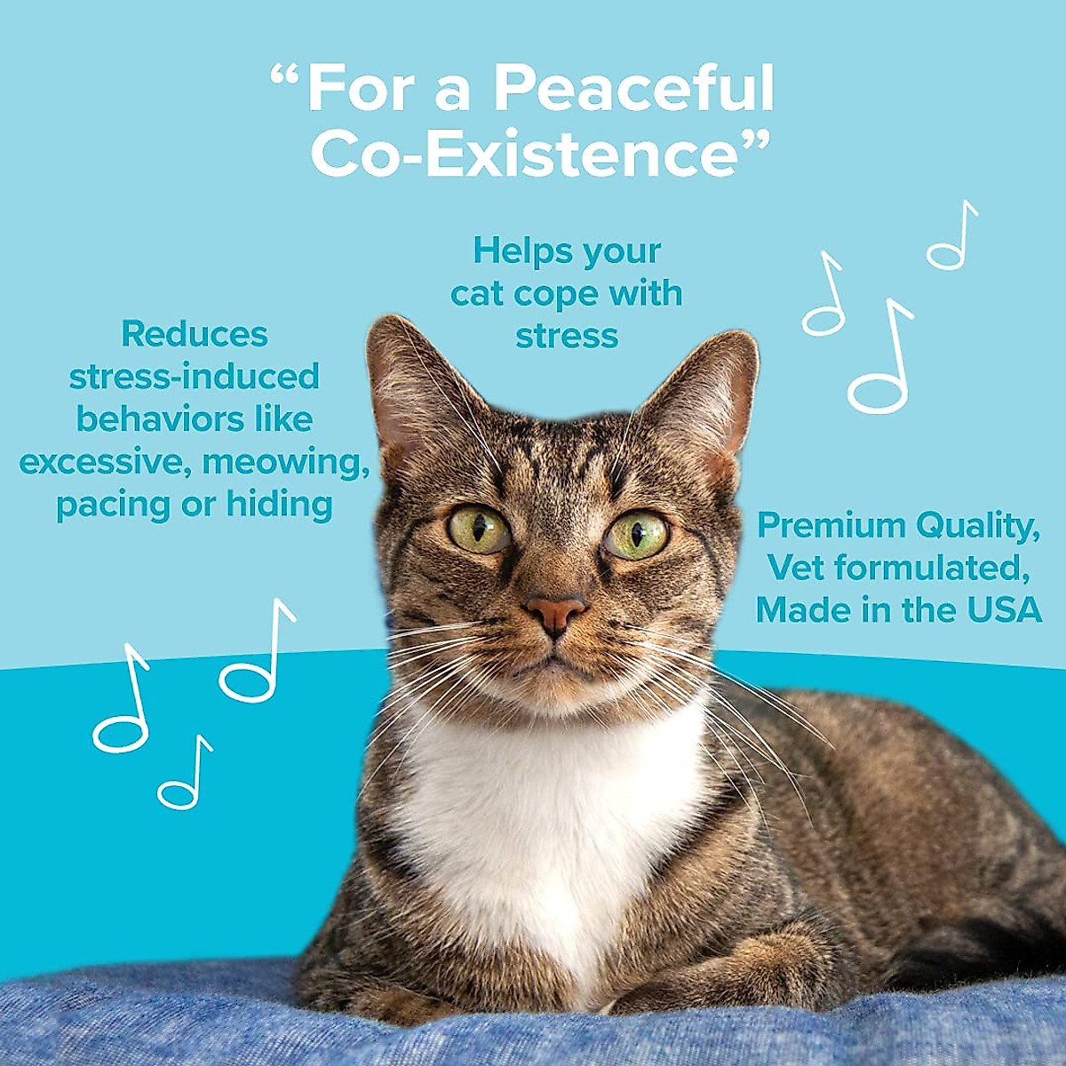 Okoa Pet “Chill, Kitty Kitty” Hemp Calming Supplement for Cats - Cat Anxiety Support Soft Chews for Reduced Stress, Thunder, Travel, & Separation - Salmon Flavor Hemp Treats - Vet Formulated, USA Made