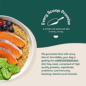 Jinx Premium Dry Dog Food + Bonus Salmon Topper. Salmon, Brown Rice, Sweet Potato Kibble (11.5lb), for All Lifestages with Superfoods & Probiotics