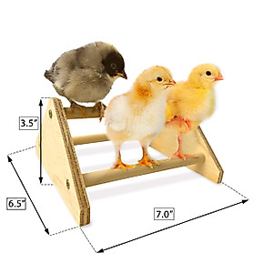 Mini Chick Roosting Perch (2 Pack) Chicken Toys for Coop and Brooder for Baby Chicks El Pollitos La Pollita Pollos Gallinas Polluelos