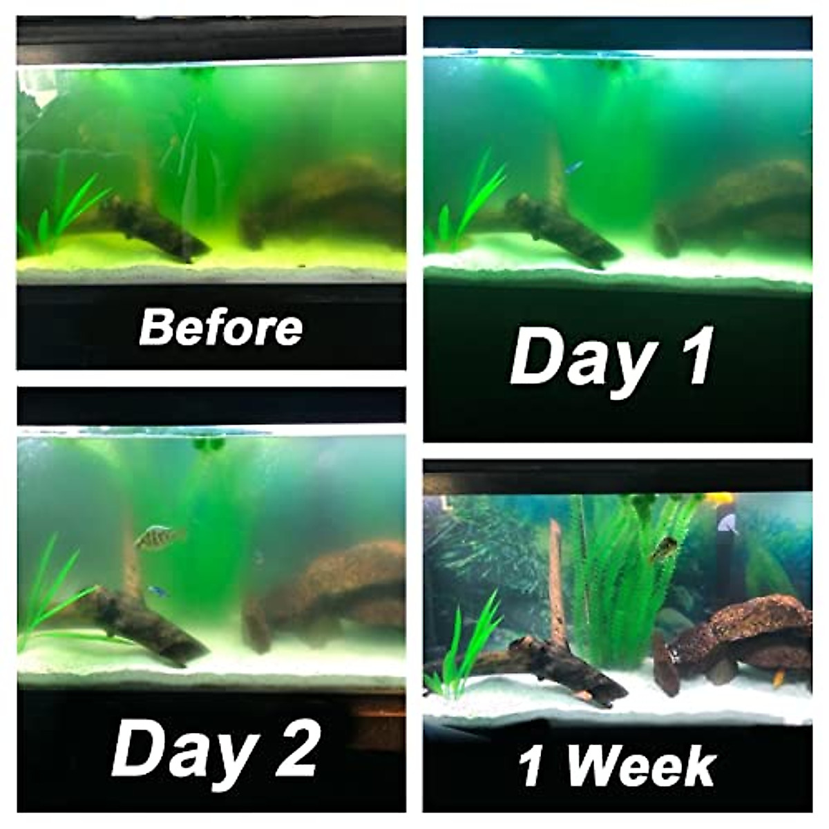 Aquarium Water Clean Clear Lamp Green Clean Machine w/Protect Shell Fits 20-200 Gallon Fish Tank Waterproof Light for Sump Pond Pump Filter 5W 254nm (Pump not Included, lamp is Inside The Shell)