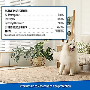 Adams Flea & Tick Home Spray, Kills Fleas, Flea Eggs, Flea Larvae, Bed Bugs, Ticks, Ants, Cockroaches, Spiders, Mosquitoes And Many Other Listed Nuisance Pests In The Home, 24 Fl Oz