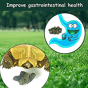 OHCOOL Timothy Hay Cubes 10oz with Small Size - Timothy hay Cubes for Rabbit Guinea Pig Chinchilla Tortoise Hamster, 10 oz